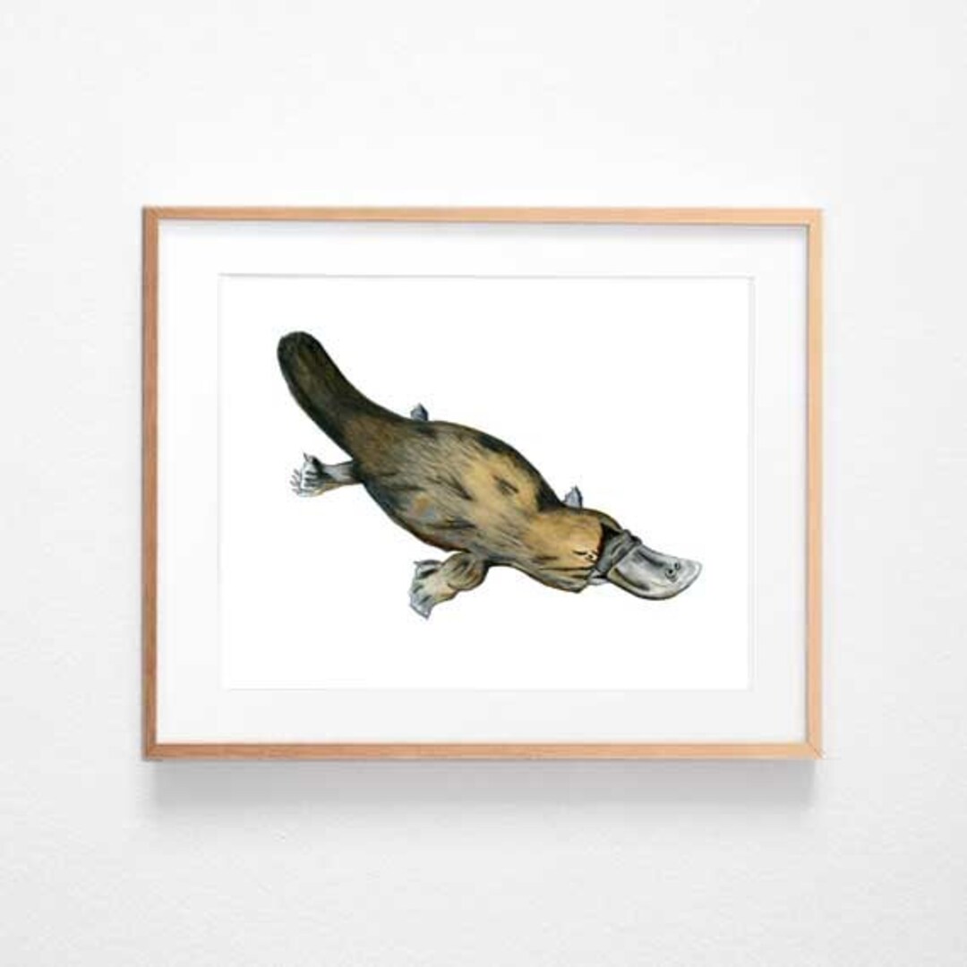 Platypus Print - Watercolour Painting - Etsy