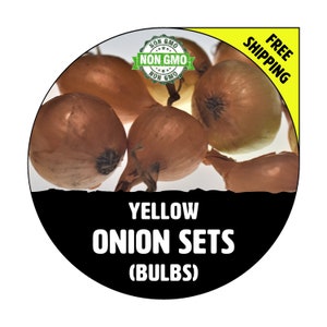 ONION SETS (yellow Bulbs) - Non-gmo, Fresh Grown Heirloom Seed Onions ...
