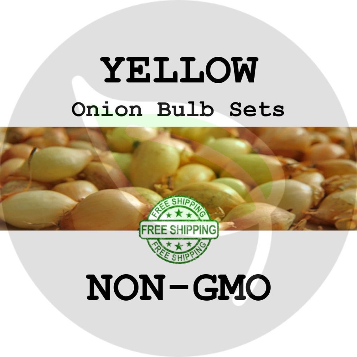 ONION SETS yellow Bulbs Non-gmo Fresh Grown Heirloom Seed - Etsy