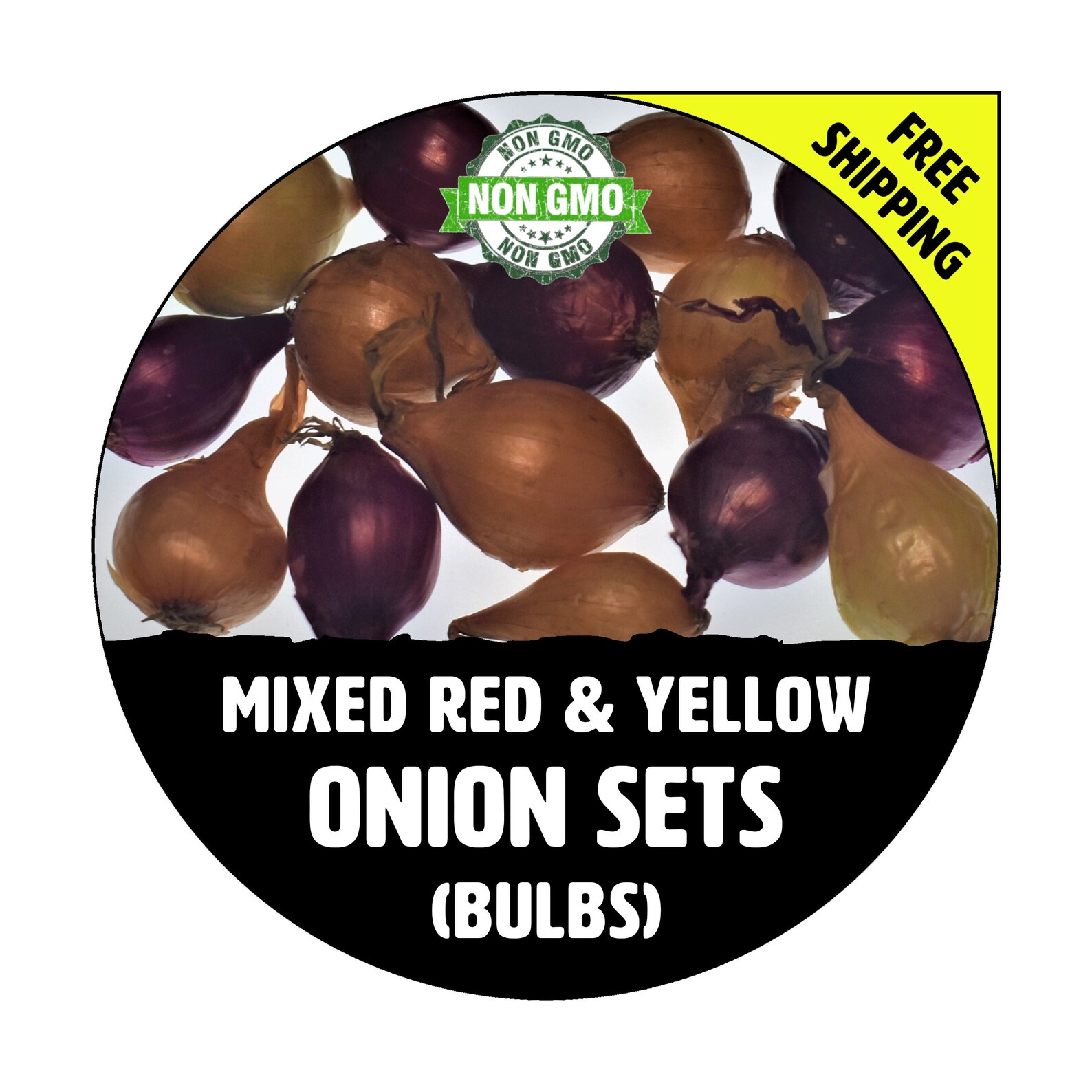 ONION SETS (red + Yellow Bulbs) - Non-gmo, Fresh Grown Heirloom Seed ...