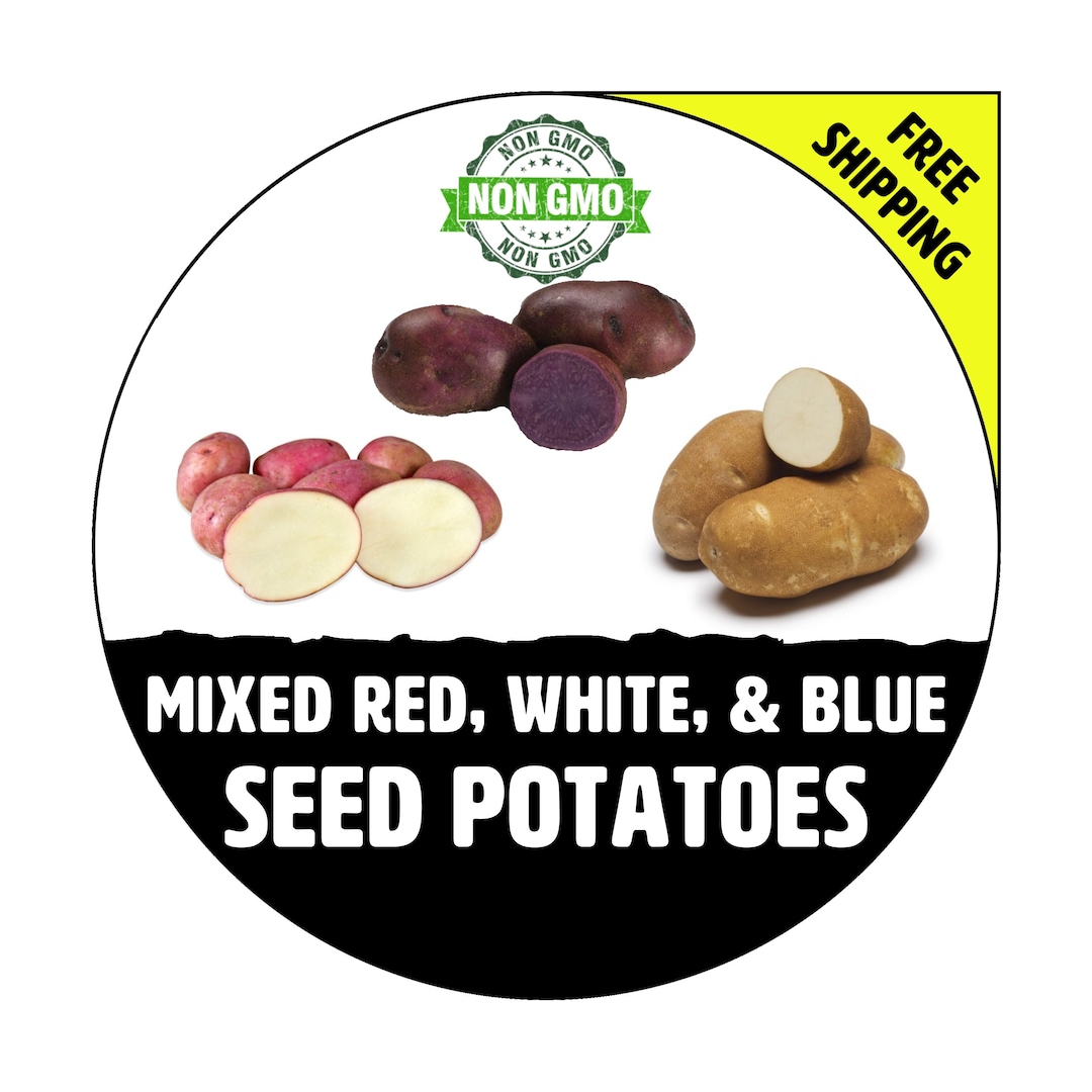 MIXED red, White, & Blue Seed Potatoes 2024 Spring, CERTIFIED Seed ...