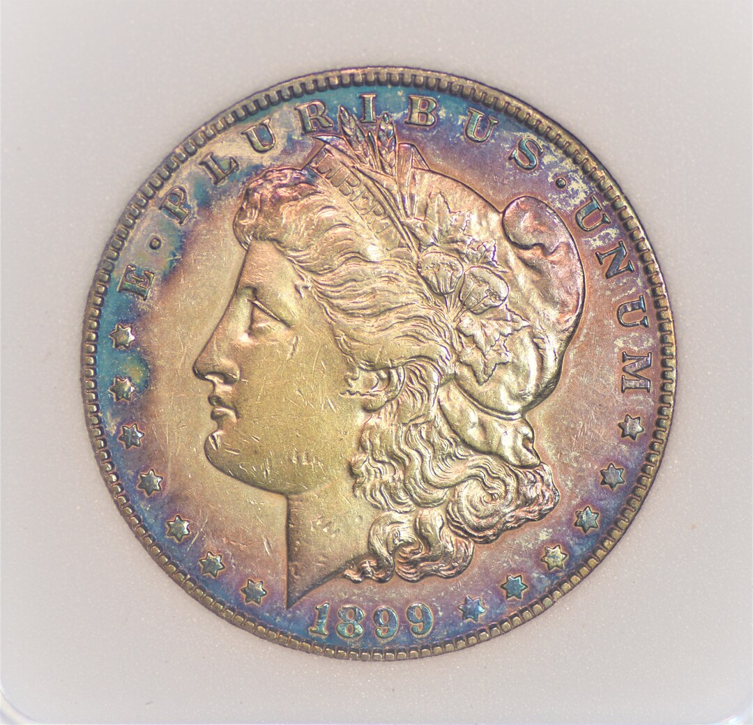 MS60 1899 S MORGAN SILVER DOLLAR Color Toning United - Etsy Österreich
