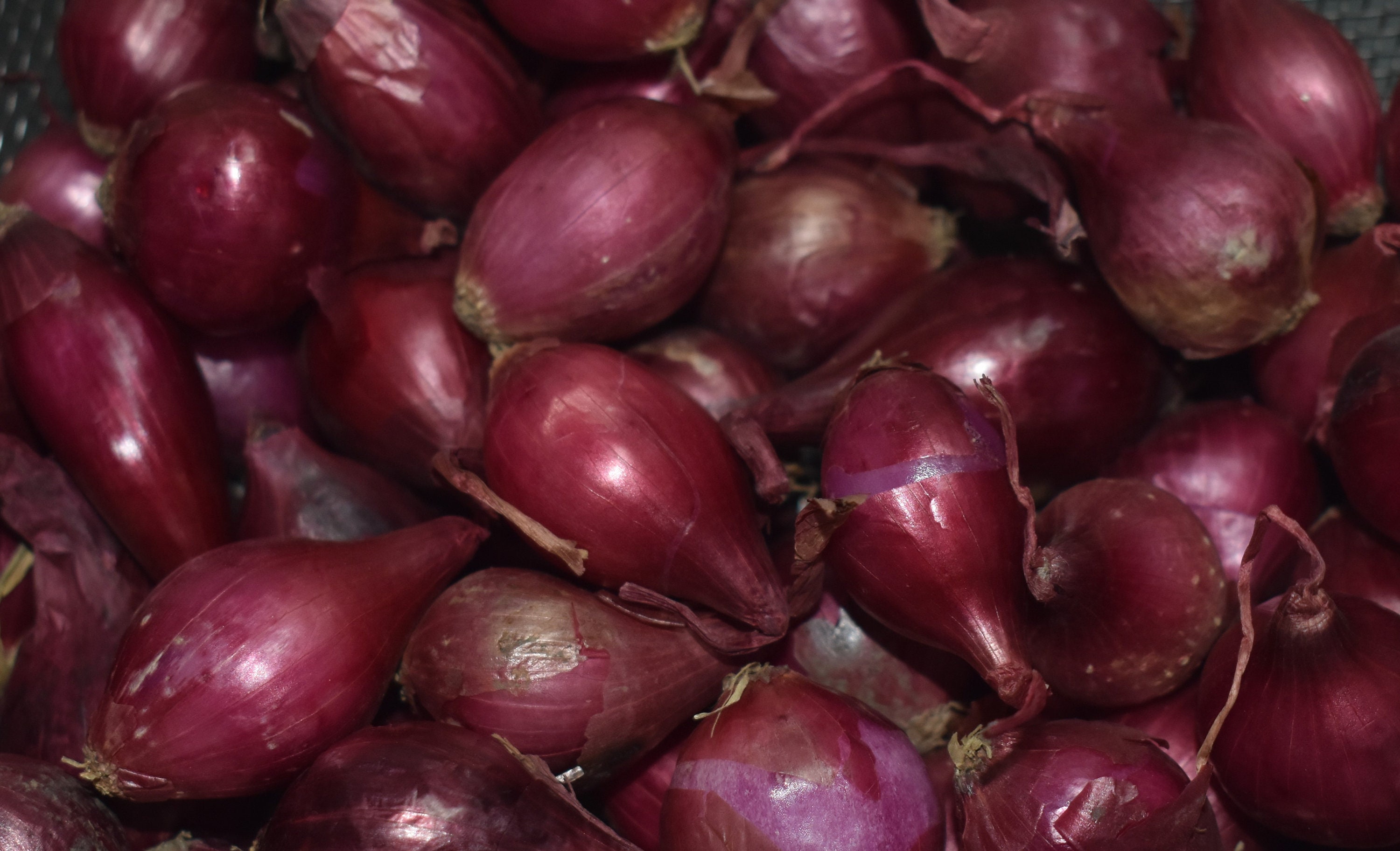 ONION SETS (red + Yellow Bulbs) - Non-gmo, Fresh Grown Heirloom Seed ...
