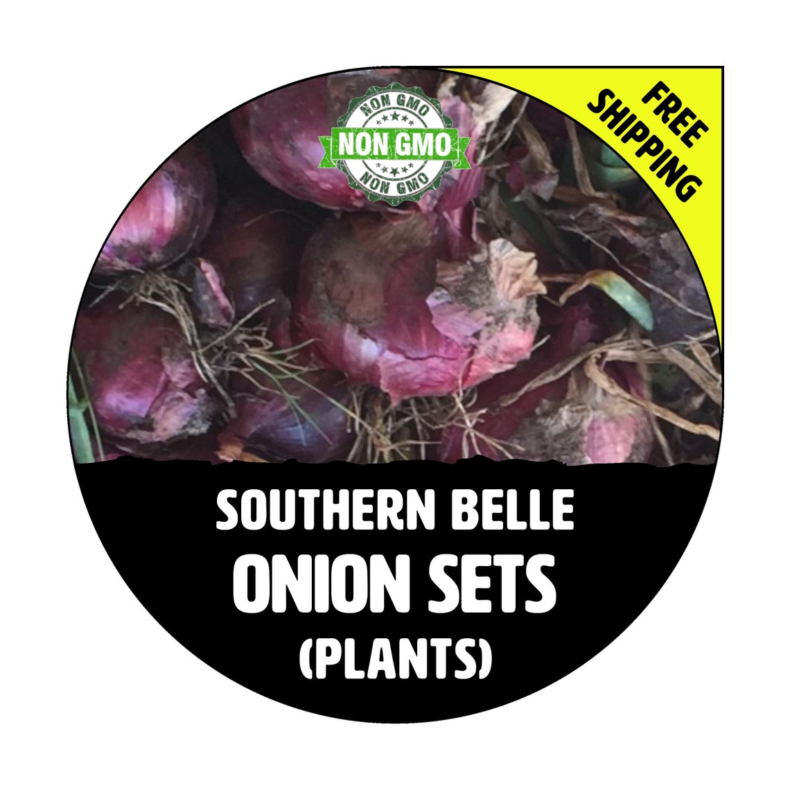 SOUTHERN BELLE (onion Sets, Red / Purple Bulbs) - Winter & Spring - Non ...