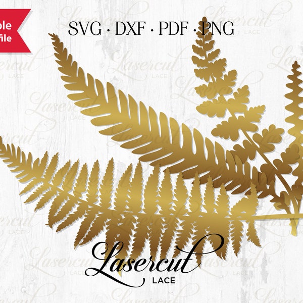 Fern Svg - Etsy