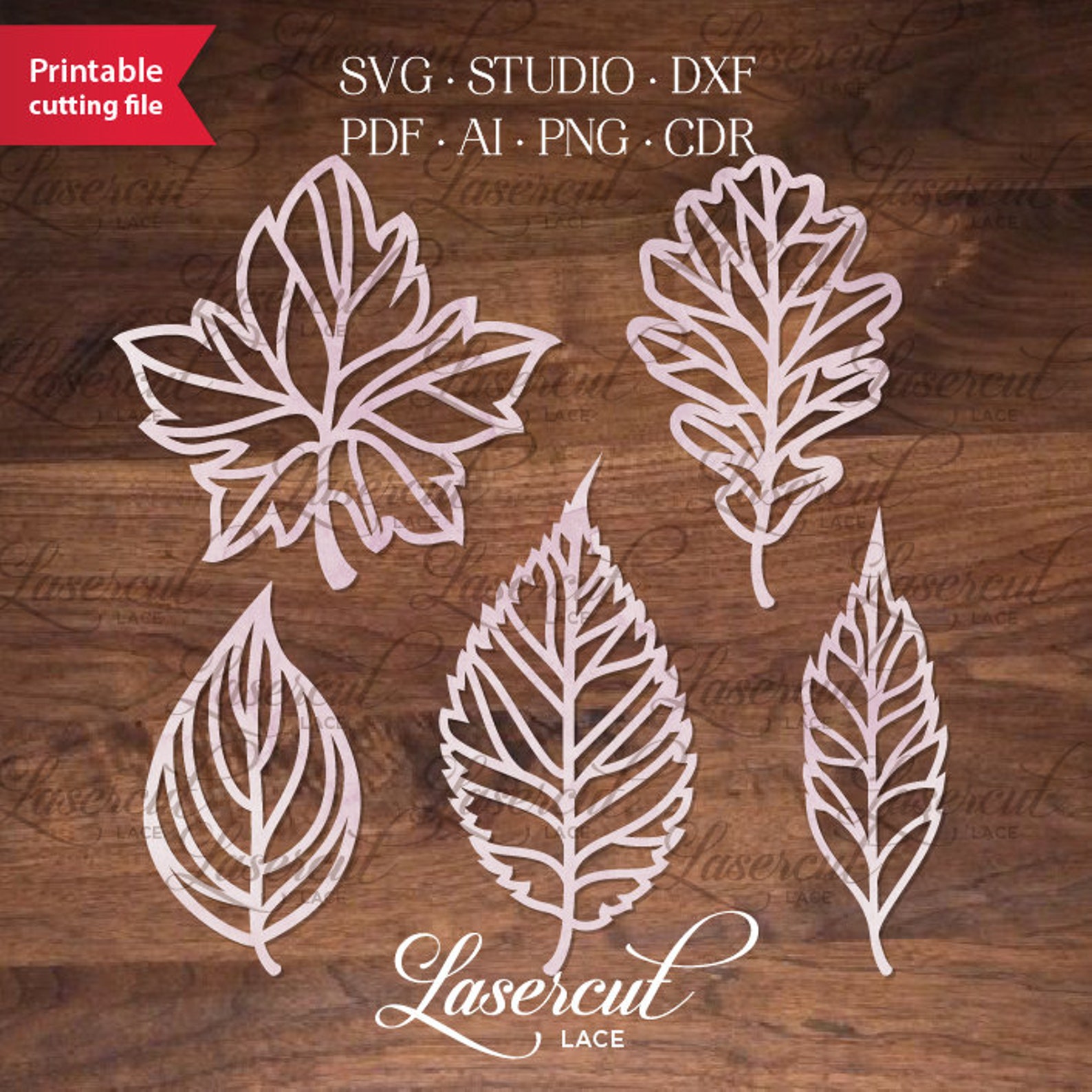 Fall Leaves SVG Lasercut File, Botanical Foliage Set, Vector Leaf ...