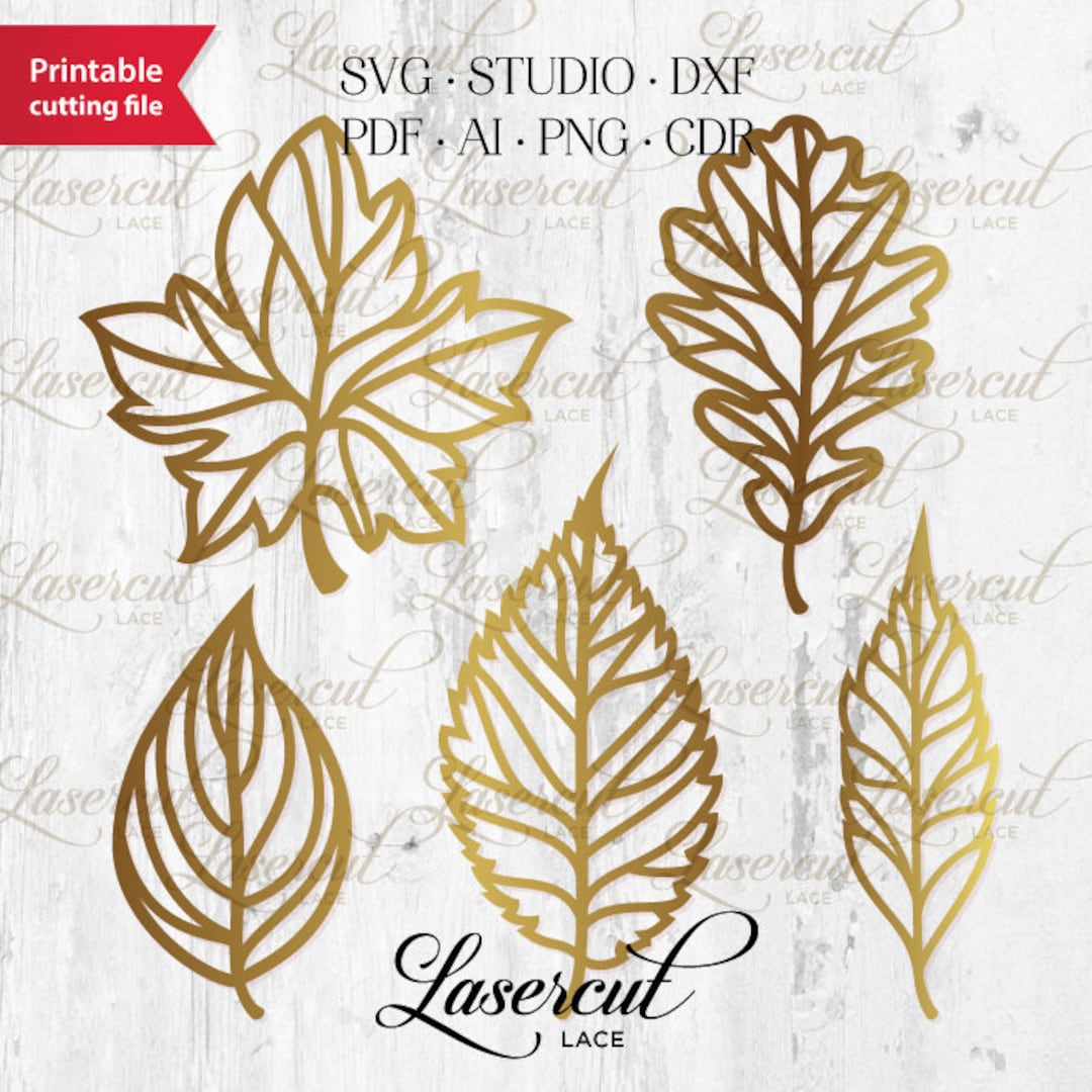 Fall Leaves SVG Lasercut File, Botanical Foliage Set, Vector Leaf ...