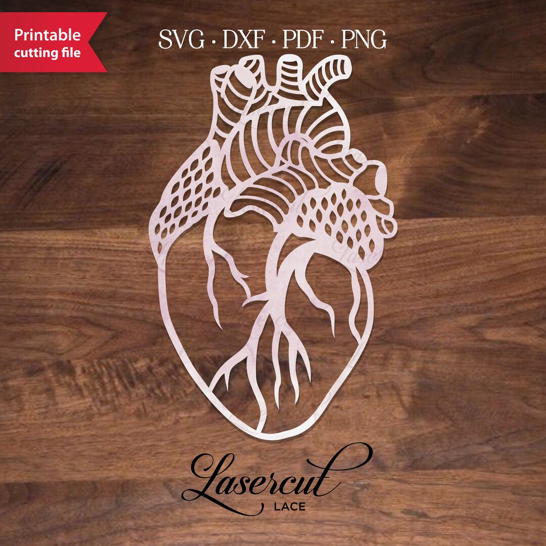Real Human Heart Anatomy SVG, Anatomical Heart Paper Cut Template for ...