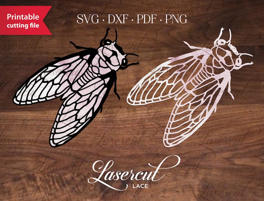 Cicada SVG Cut File, Cicada Cutting Files, Insect Svg for Cricut ...