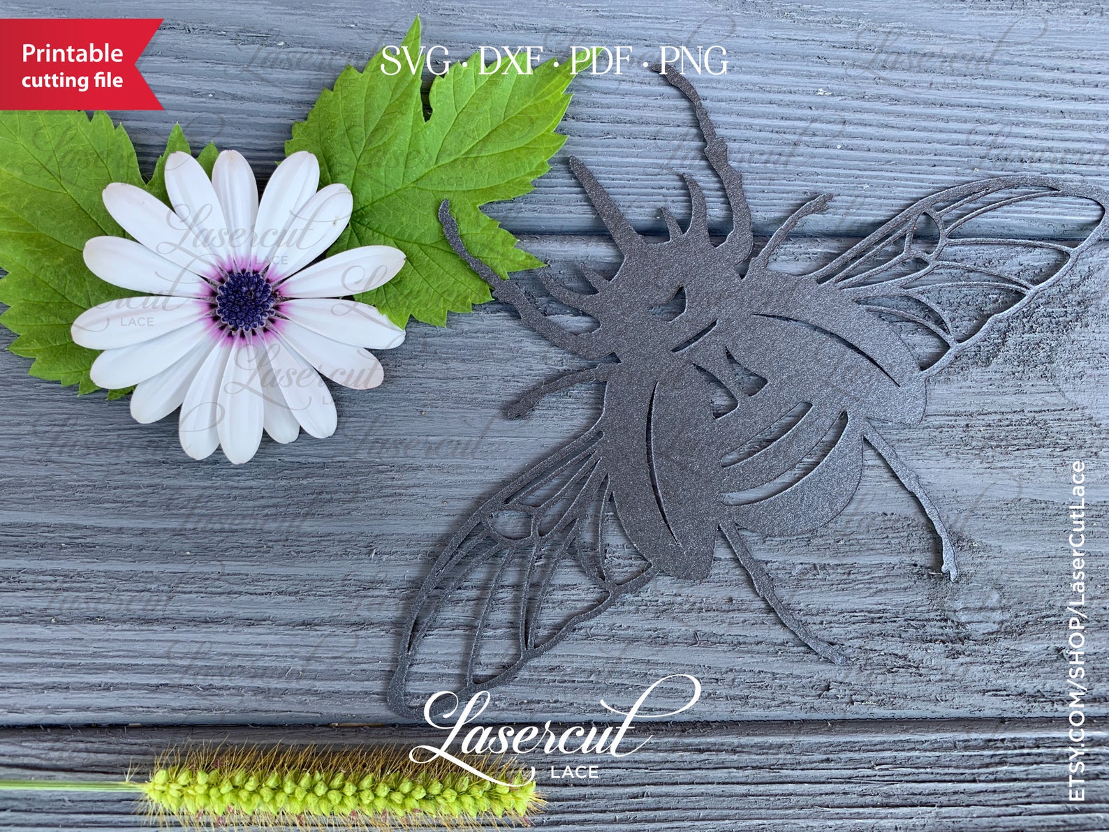 Stag beetle SVG coupe fichier, vecteur de découpe laser Stagbeetle ...