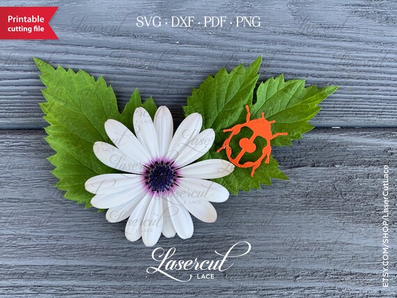 Ladybug fly vector silhouette bugs dxf Stag beetle SVG cut file Horned ...