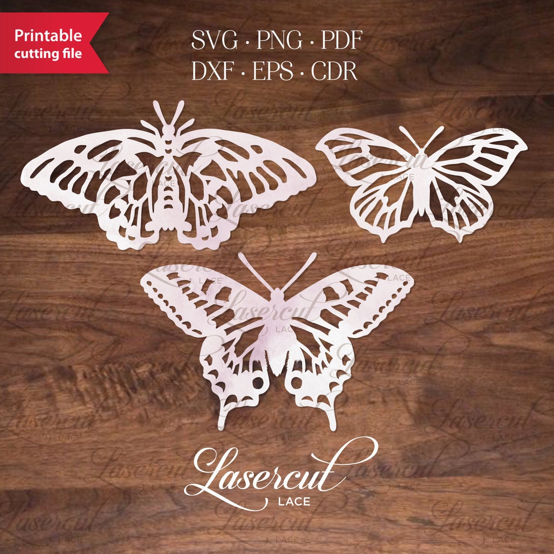 Butterfly SVG Cut File for Cricut, Silhouette Cameo, Svg Bundle With 3 ...