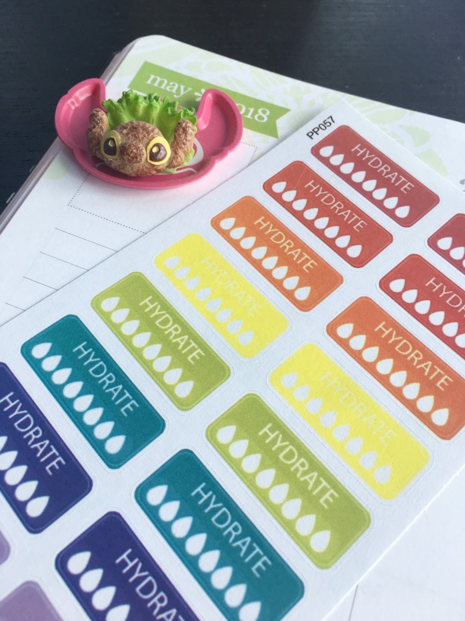 S-057 daily Hydration Trackerdrinkingwater Thirsty - Etsy