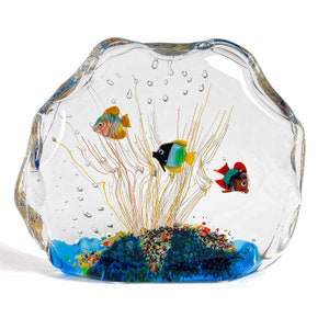 Crystal Clear Coral Reef Aquarium - Etsy