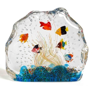 Crystal Clear Coral Reef Aquarium - Etsy