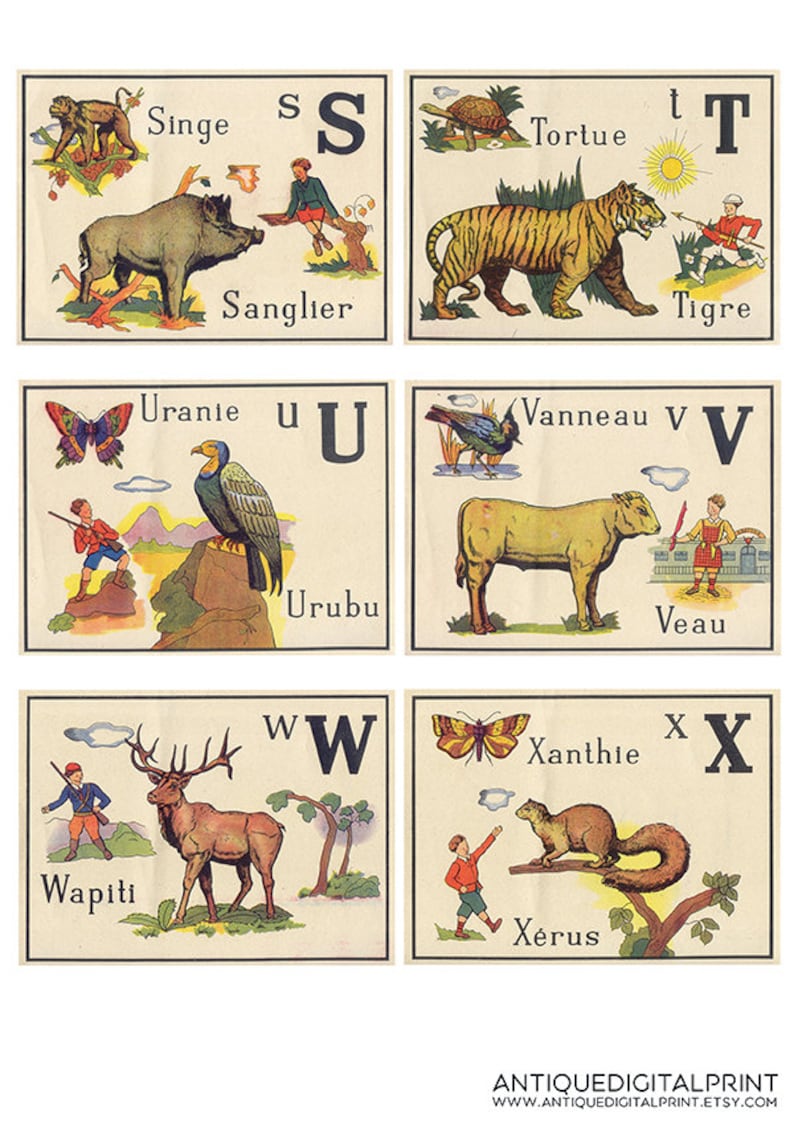 Vintage Printable Children's Alphabet Cards. Alphabet - Etsy