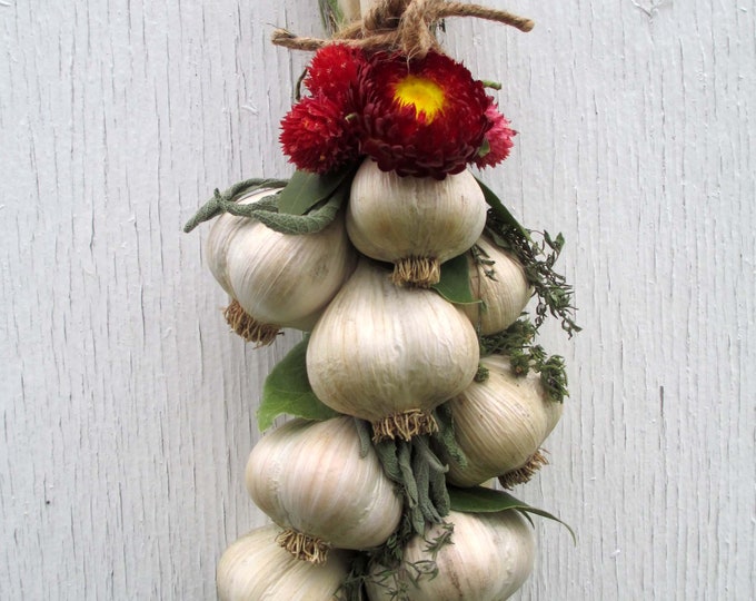 Maine Grown Garlic Braid With Bay Leaves and Herbs/charmiskium Hardneck ...