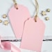 Pale Pink Blank Gift Tags, Pack of 10. Gift Labels for Christmas, Gift ...