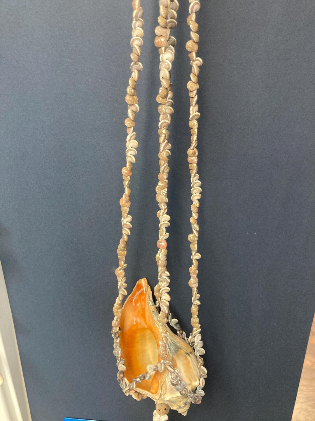 Natural Shell Hanging Basket With Large Conch and Shell Tassel Nautical ...