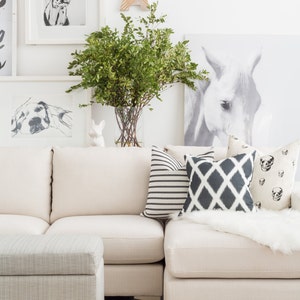 White and Black Skull Fully Washable Complete Pillow Designed by Jo ...