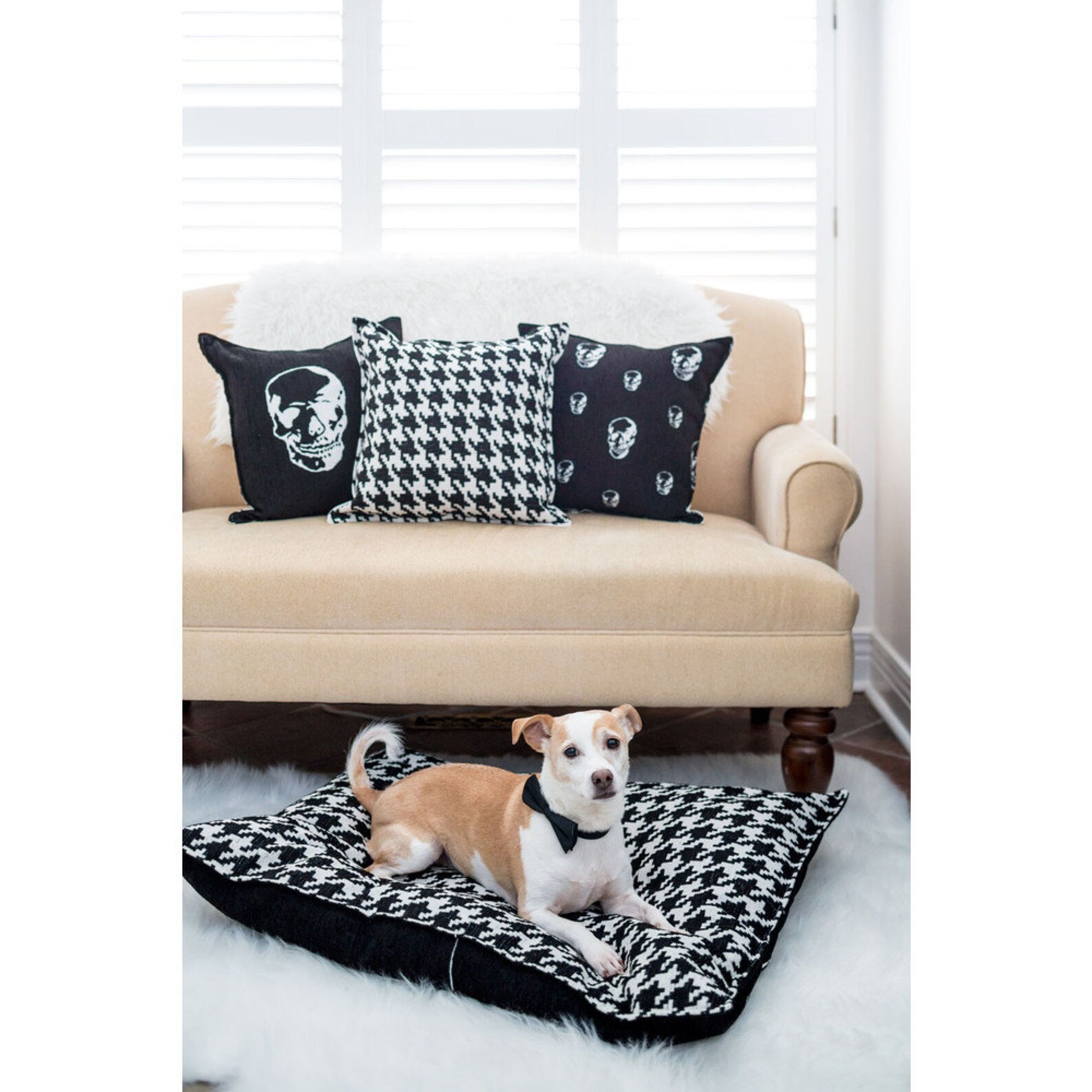 26 X 36 Designer Dog Bed Black White Skull 'fully Washable' Designed by ...