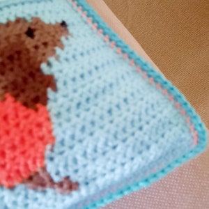 Dachshund Crochet Cushion Cover Pattern: Intarsia Sausage Dog (US Terms ...