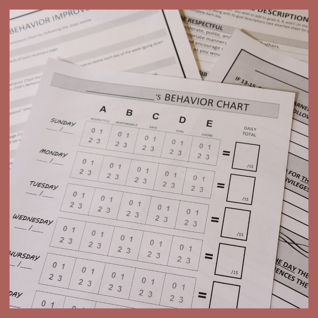 Behavior Chart for Child or Teen - Parenting Tool - Etsy