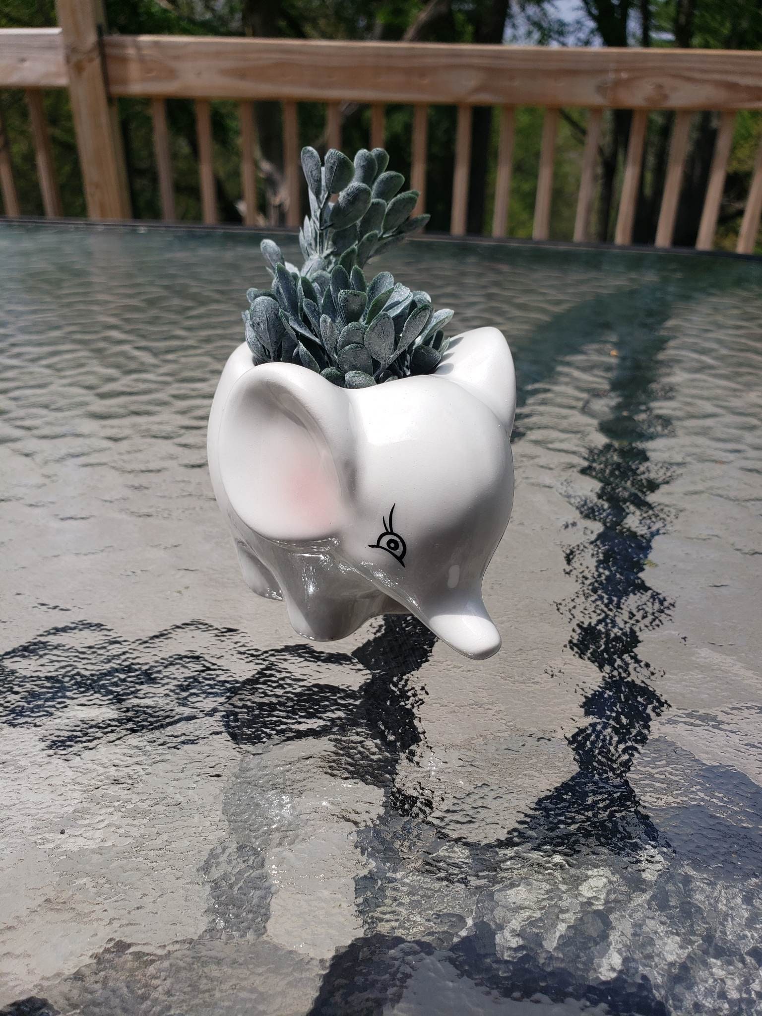 Cute Mini Animal Succulent Pot Cow, Fox, Elephant, Zebra, Sheep, Racoon ...