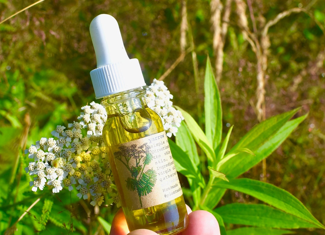 Yarrow Beauty Serum . Revitalizing Botanical Face and Body Oil - Etsy