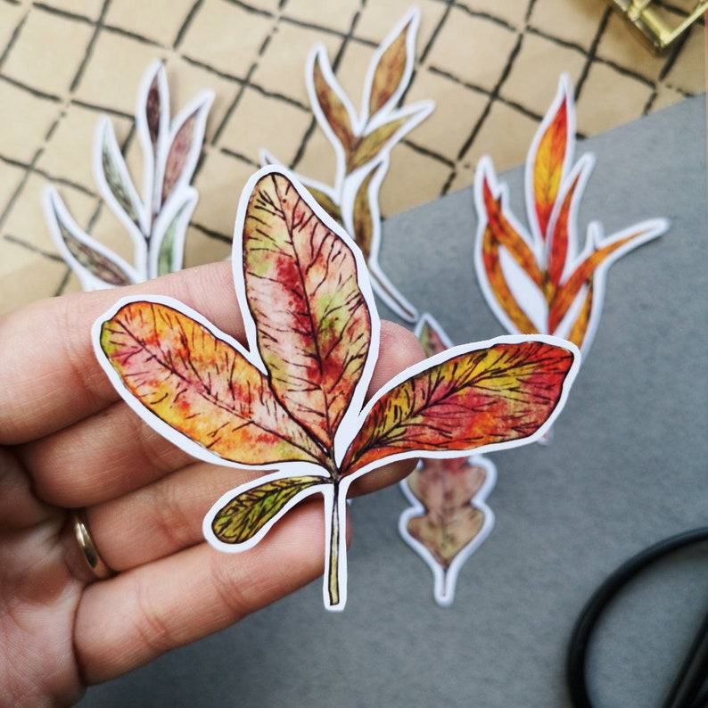 Paper & Party Supplies Nature Pack 44 Unique Hand Made Nature Themed ...