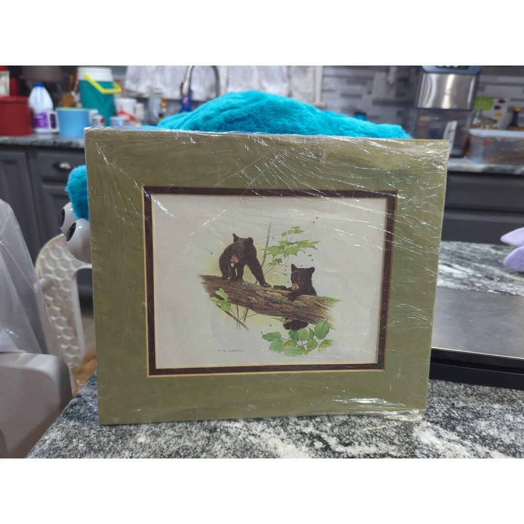 Vintage Glen Loates Black Bear Cubs Matted Art Print 10x12 MG Loates ...