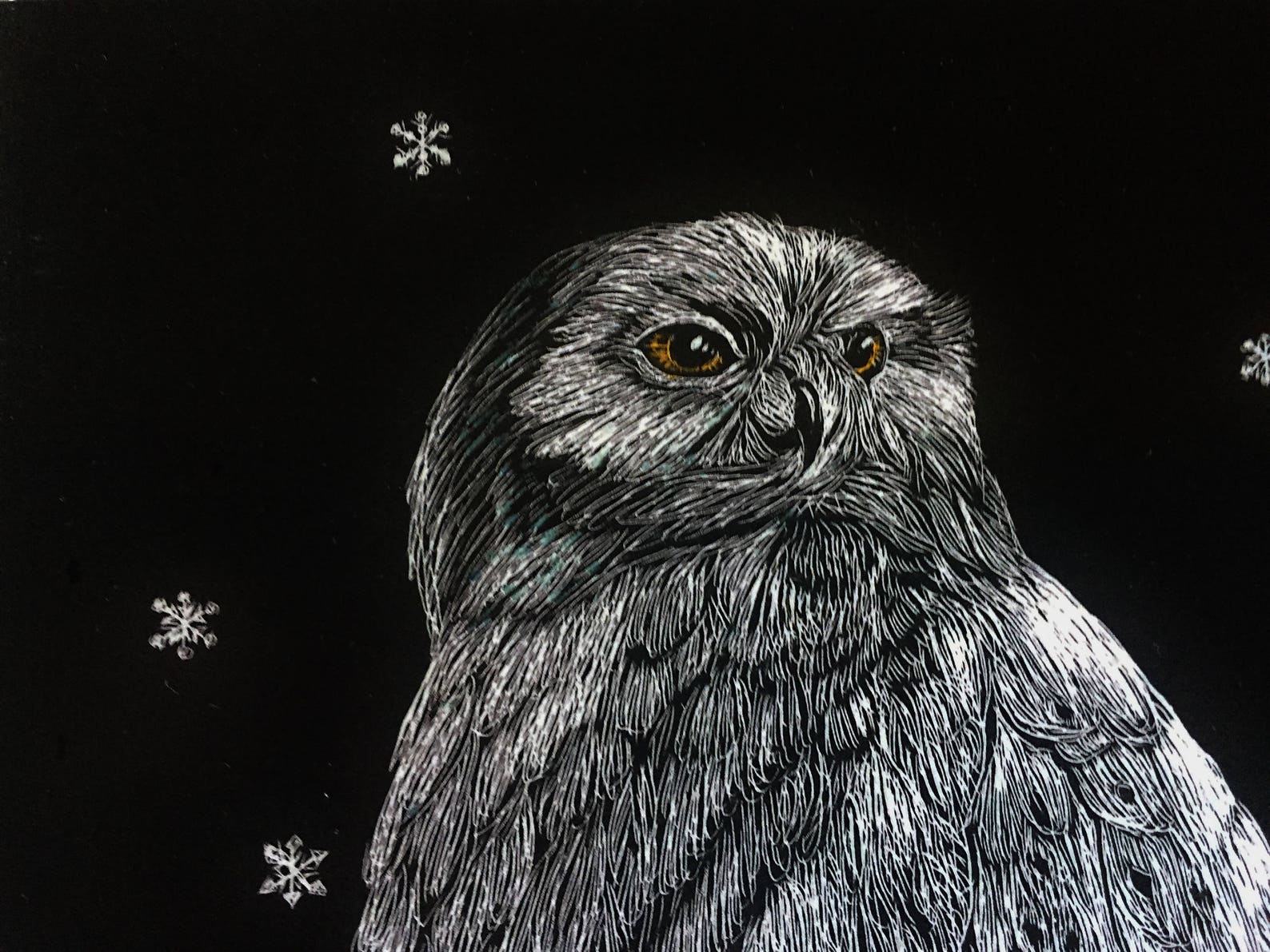 Snowy Owl Scratchboard Greeting Card - Etsy