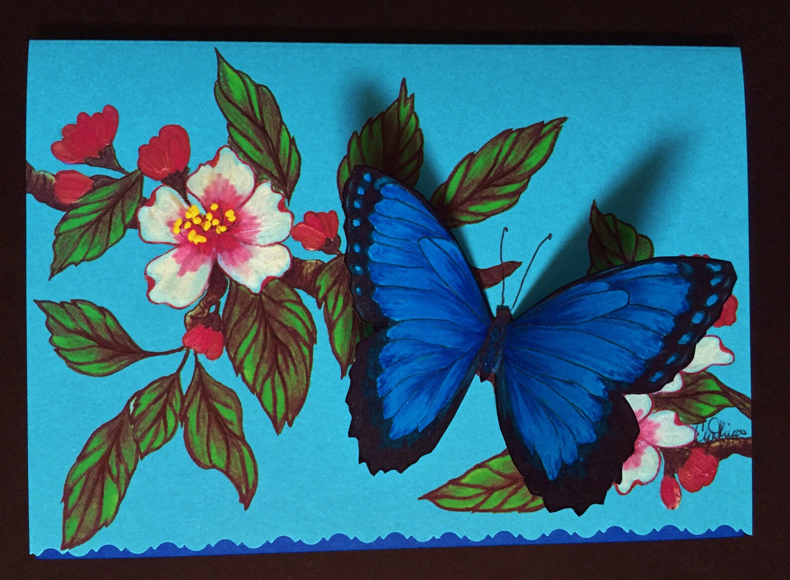 Shimmering Brilliant Blue Common Morpho Butterfly | Etsy