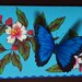 Shimmering Brilliant Blue common Morpho Butterfly - Etsy