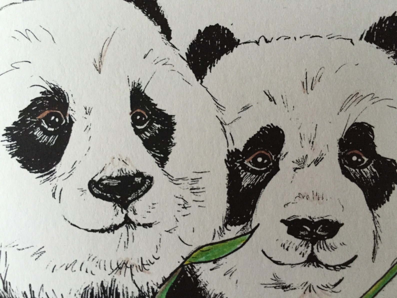 Hugging Pandas Blank Greeting Card - Etsy
