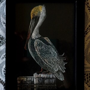 Statuesque Brown Pelican Color-enhanced Scratchboard Greeting Card - Etsy