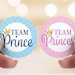 Team Prince or Team Princess Gender Reveal Party, Team Boy or Team Girl ...