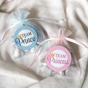 Team Prince or Team Princess Gender Reveal Party, Team Boy or Team Girl ...