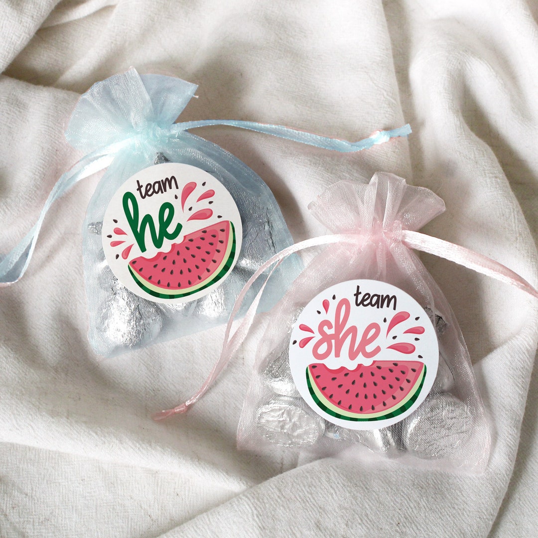 Watermelon Gender Reveal Stickers Team He or Team She Party - Etsy