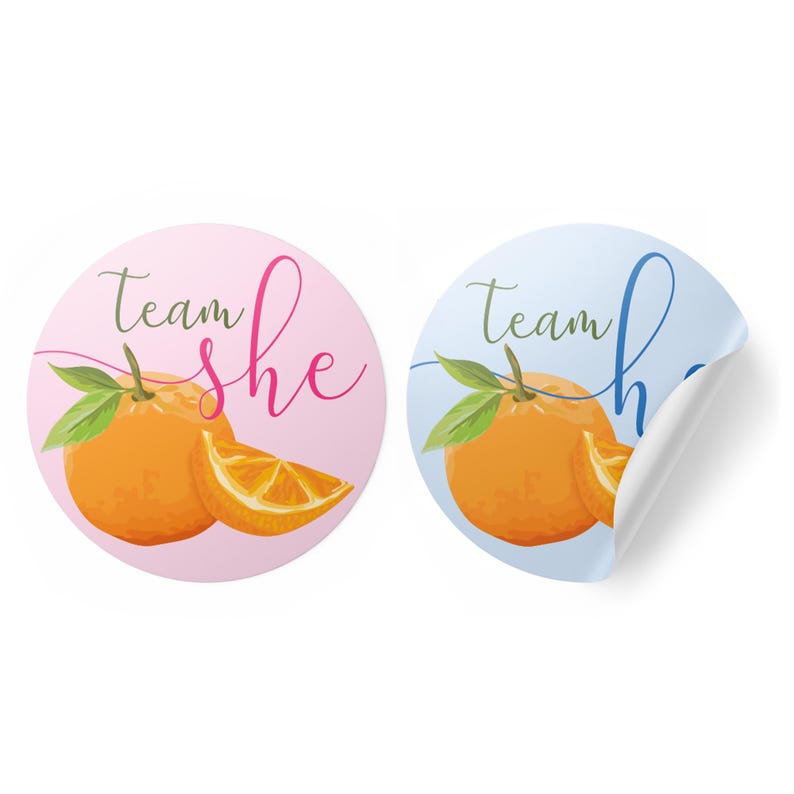 Orange You Curious Gender Reveal Party Stickers, Little Cutie Team He ...