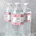 Paris Birthday Party Water Bottle Stickers, French Theme Sweet 16 ...