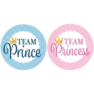 Team Prince or Team Princess Gender Reveal Party, Team Boy or Team Girl ...