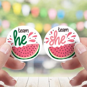 Watermelon Baby Gender Reveal Party, Team He or Team She, Team Boy or ...