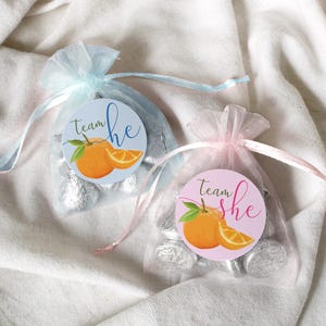 Orange You Curious Gender Reveal Party Stickers, Little Cutie Team He ...