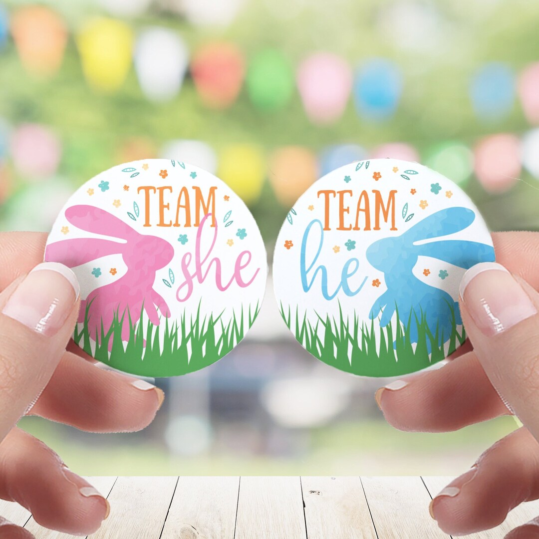 What Will Our Little Bunny Be Baby Gender Reveal Stickers, Team He or ...