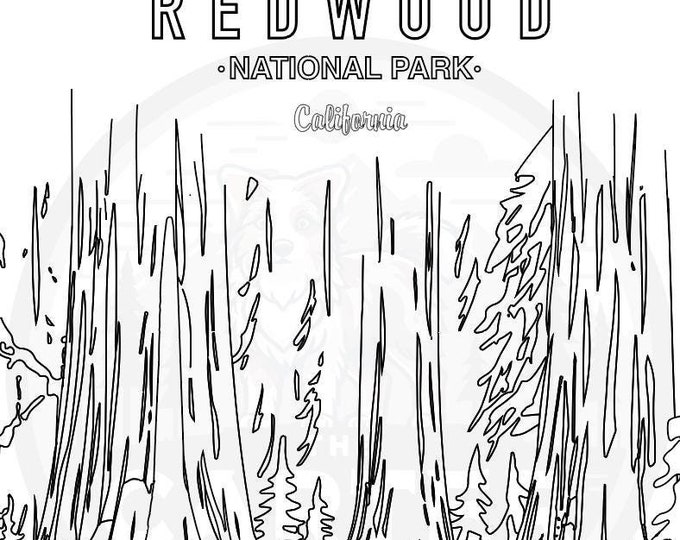 Redwood National Park Coloring Sheet (8.5"x11") - Etsy