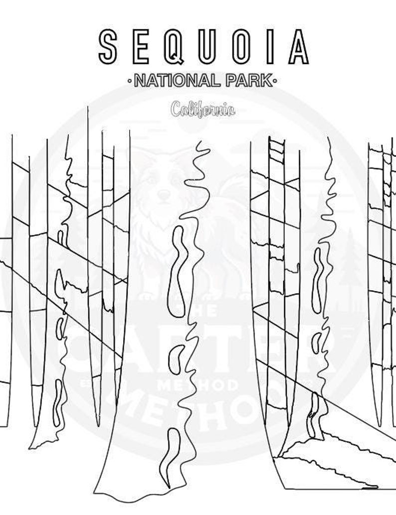 Sequoia National Park Coloring Sheet (8.5"x11") - Etsy