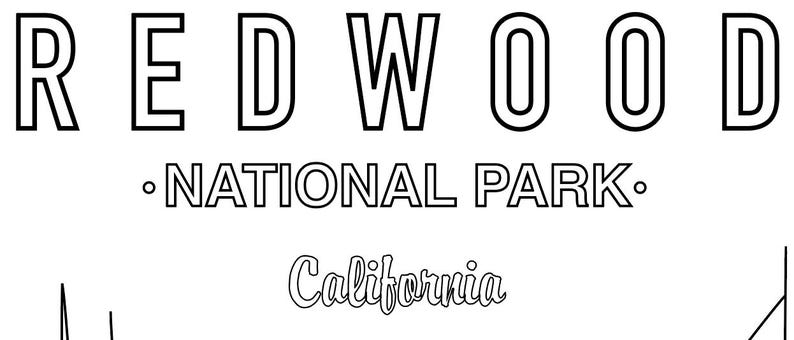 Redwood National Park Coloring Sheet (8.5"x11") - Etsy