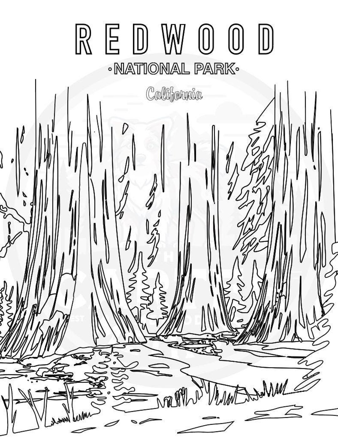 Redwood National Park Coloring Sheet (8.5"x11") - Etsy