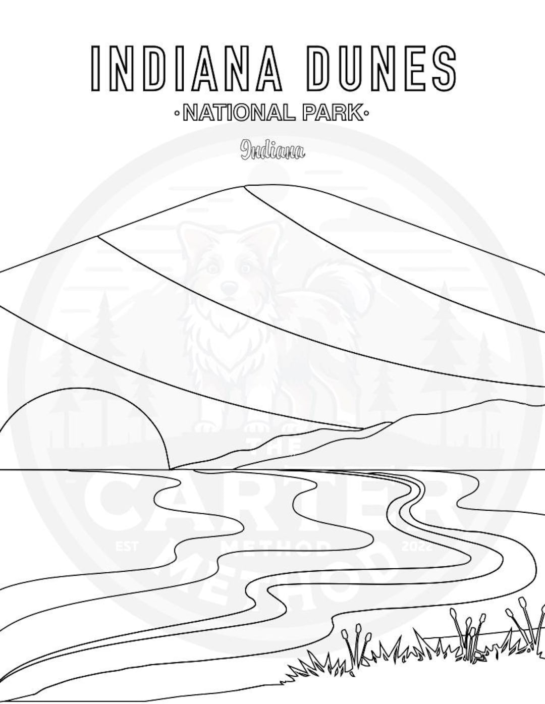 Indiana Dunes National Park Coloring Sheet (8.5"x11") - Etsy